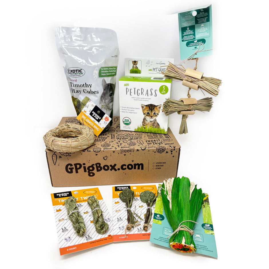 GPigBox.com - Monthly Guinea Pig Subscription Box USA