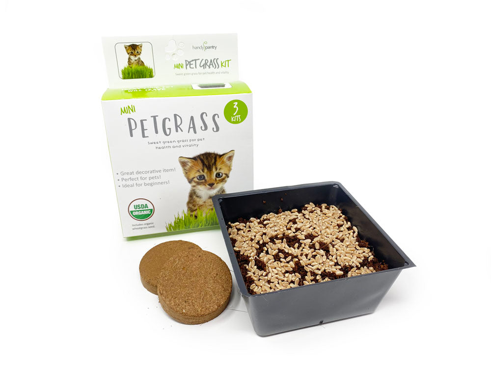 Organic Wheatgrass Kit - 3 Pack – GPigBox.com